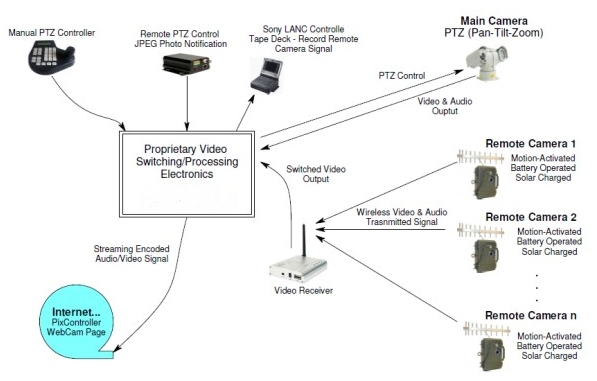 PixCams Live Widlife Cams - View the world through our lens
